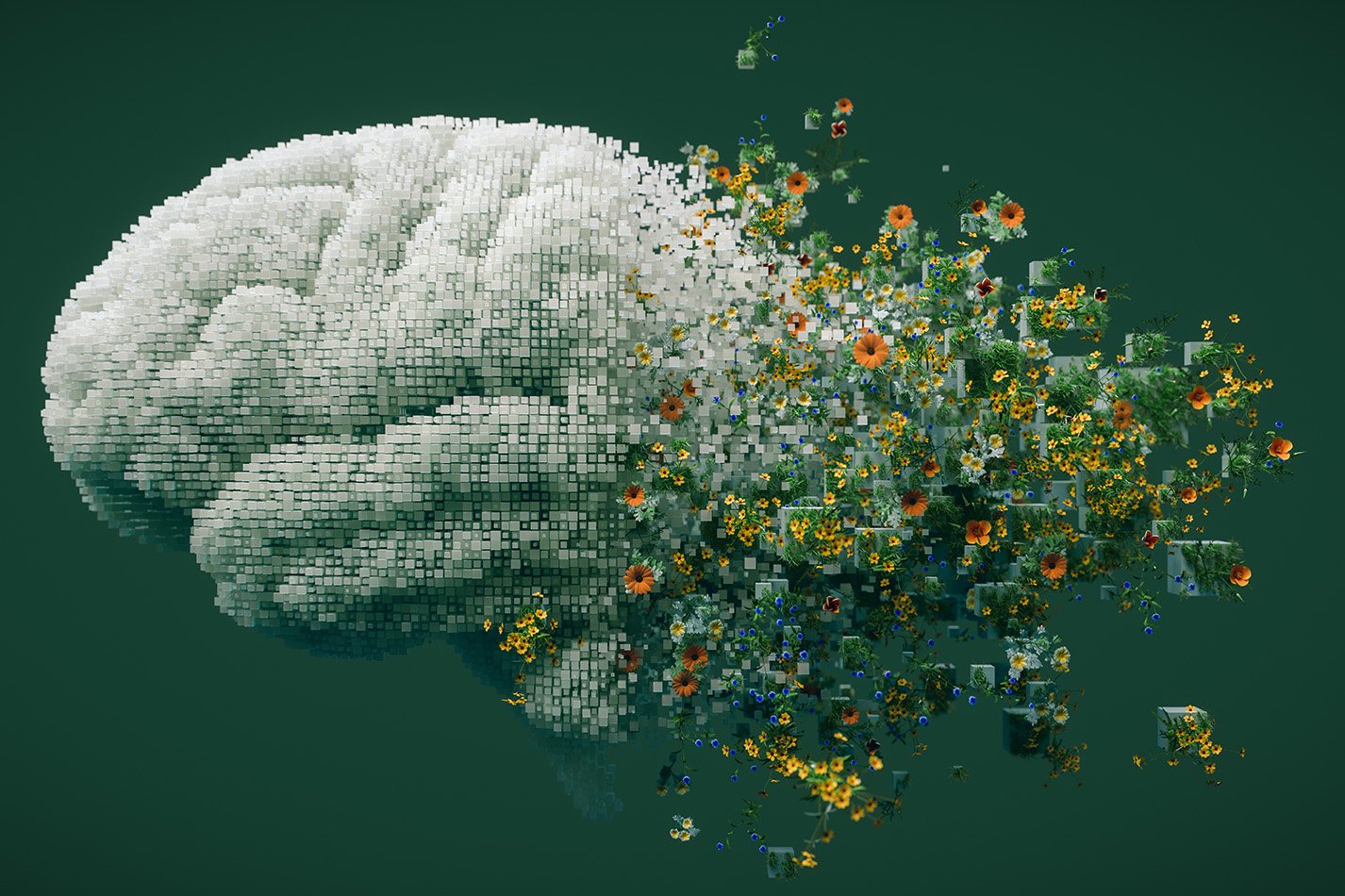 Grace Noppert | Survey Research Center